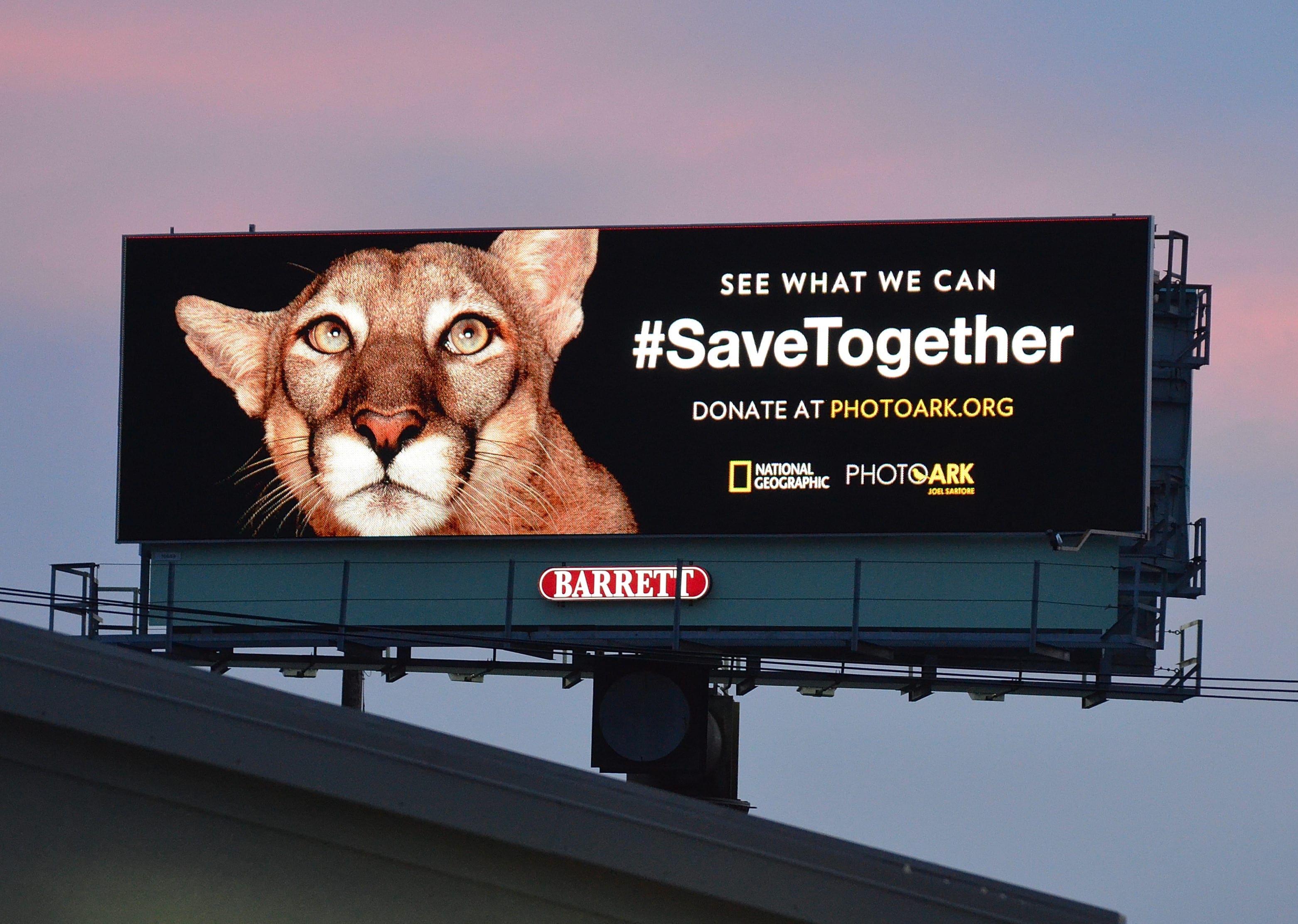 National Geographic's Photo Ark Reaches Millions | Billboard Insider™